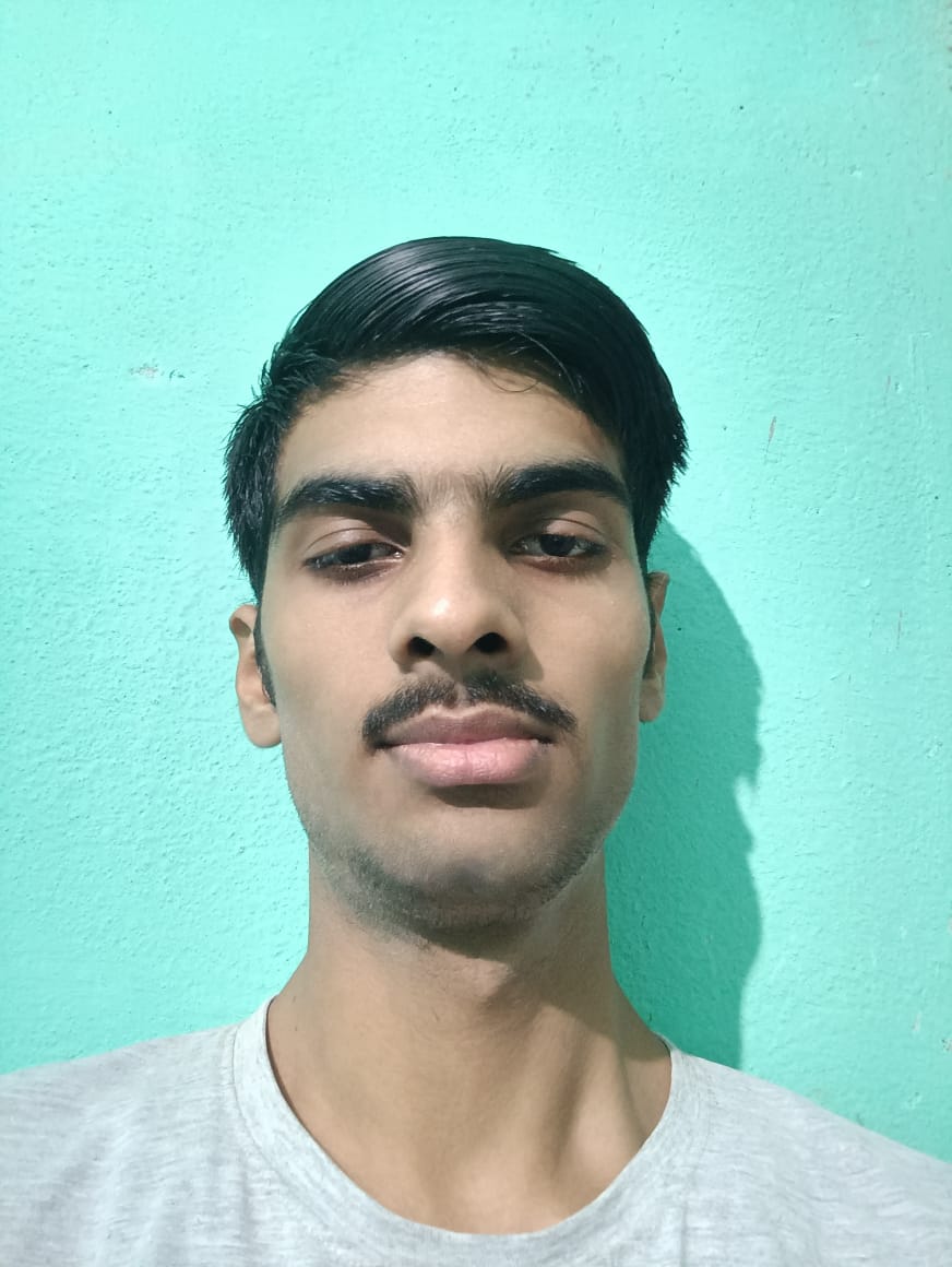 Raunak Parashar | Portfolio